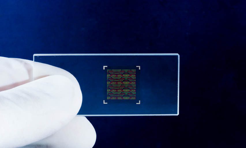 تکنیک DNA microarray - دکتر مجازی