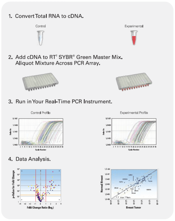 معرفی qPCR arrayها - دکتر مجازی
