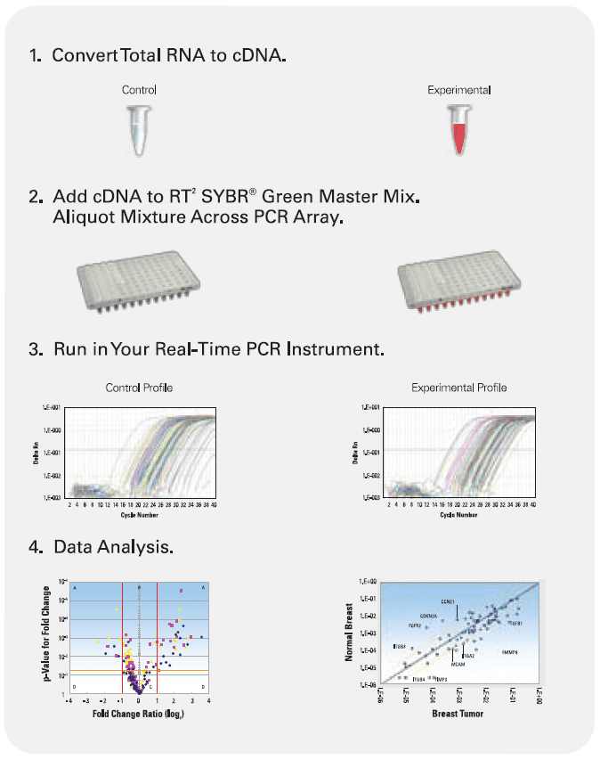 معرفی qPCR arrayها - دکتر مجازی