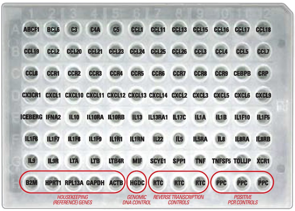 معرفی qPCR arrayها - دکتر مجازی