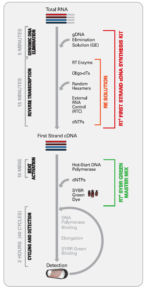 معرفی qPCR arrayها - دکتر مجازی